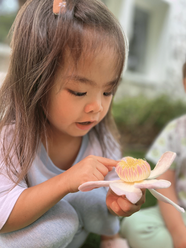 ELC Summer programme 2025 - Purple Elephant | ELC - International ...