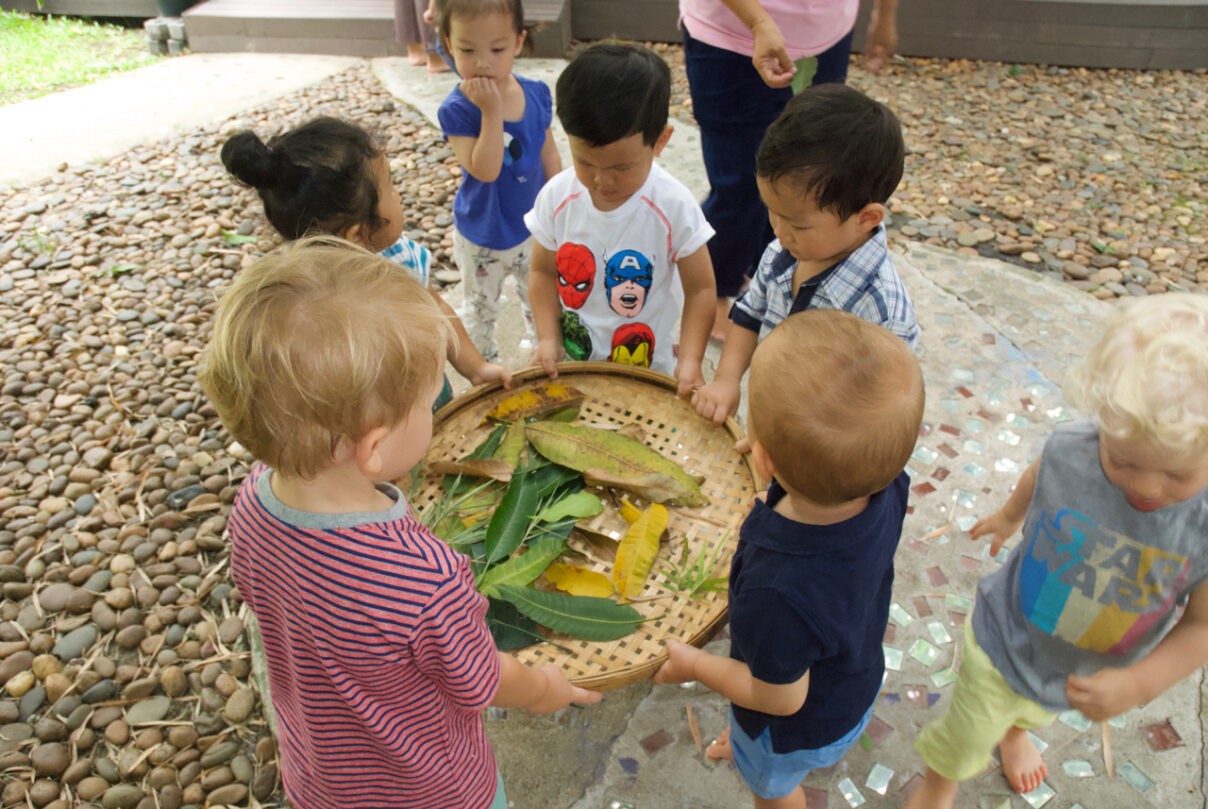 The Purple Elephant 39 | Reggio Emilia Preschool in Bangkok | ELC